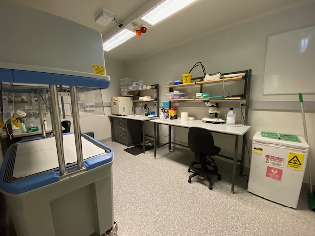 BR-QBP | Rodents - Biological Resources - University of Queensland